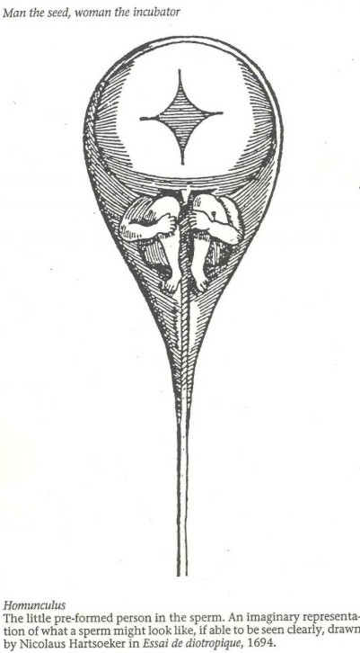 Fact Versus Supposition