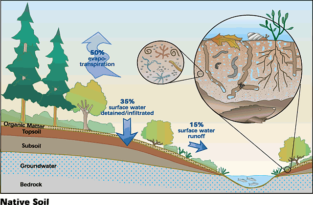 Untitled [jan.ucc.nau.edu]